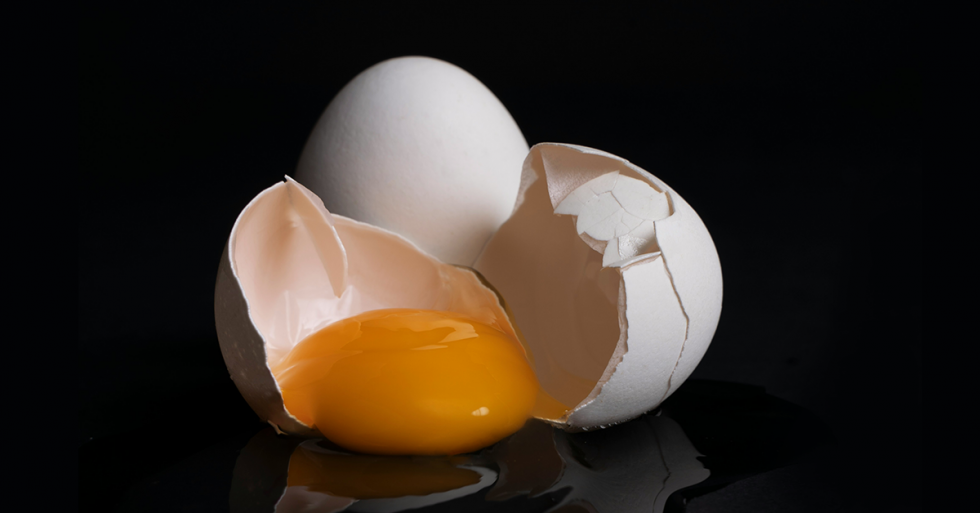 McClave + Associates lend their expertise in Ovalnnovations’ antitrust ...